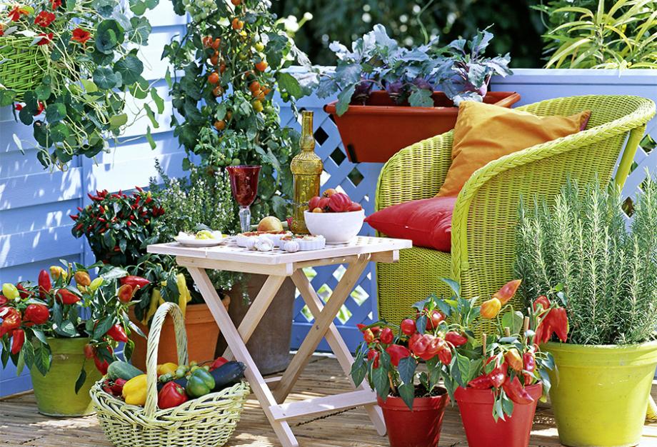 Comment réussir à faire son potager sur le balcon